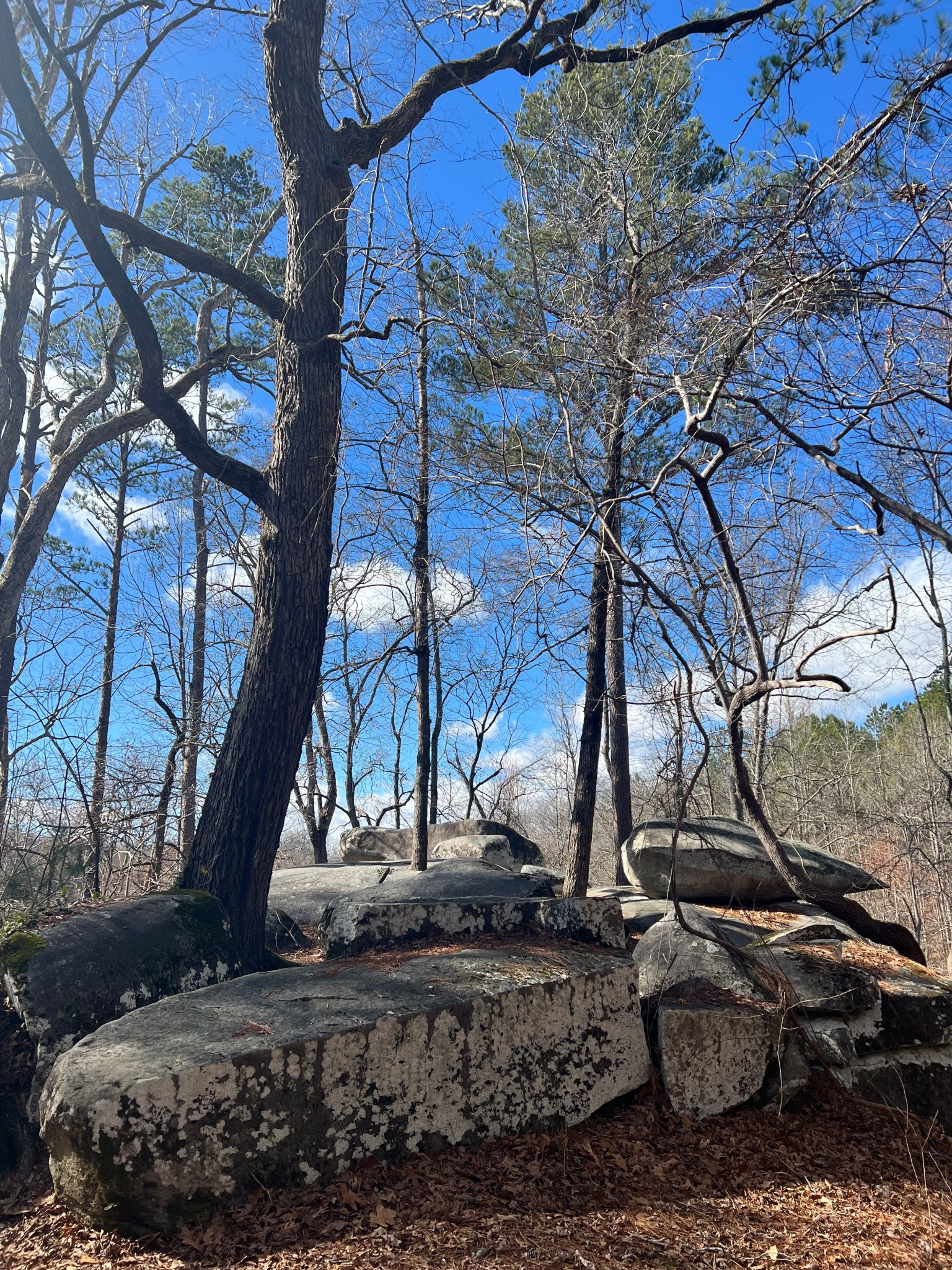 Local Attractions – Lexington, Georgia